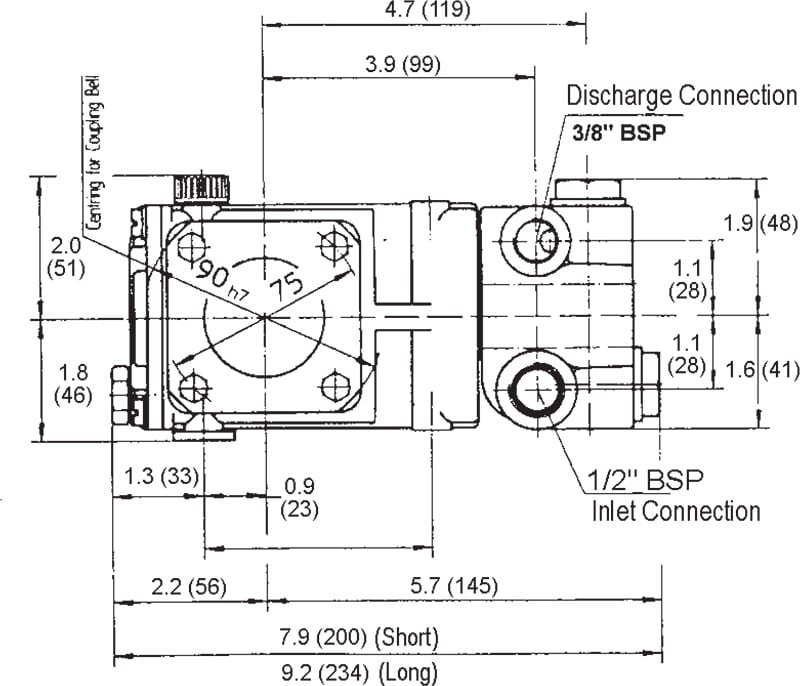 P206 - Giant Pumps